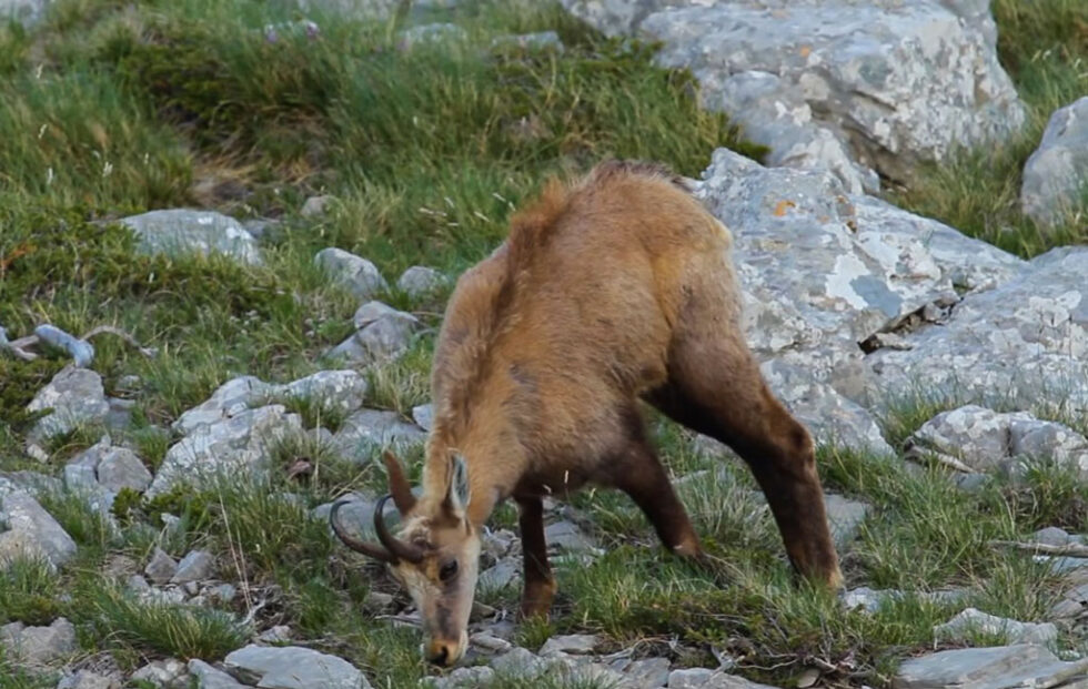 Top 33 Amazing Facts About Croatia