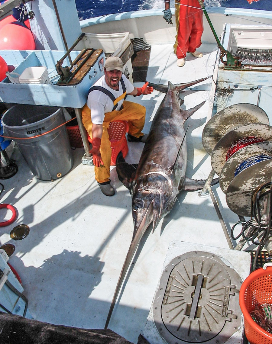 List of the Top 10 Fastest Fish in the Ocean in 2025